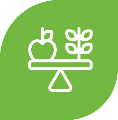 Fibre Supplements & High Fibre Foods for Gut Health Diet | Rexall