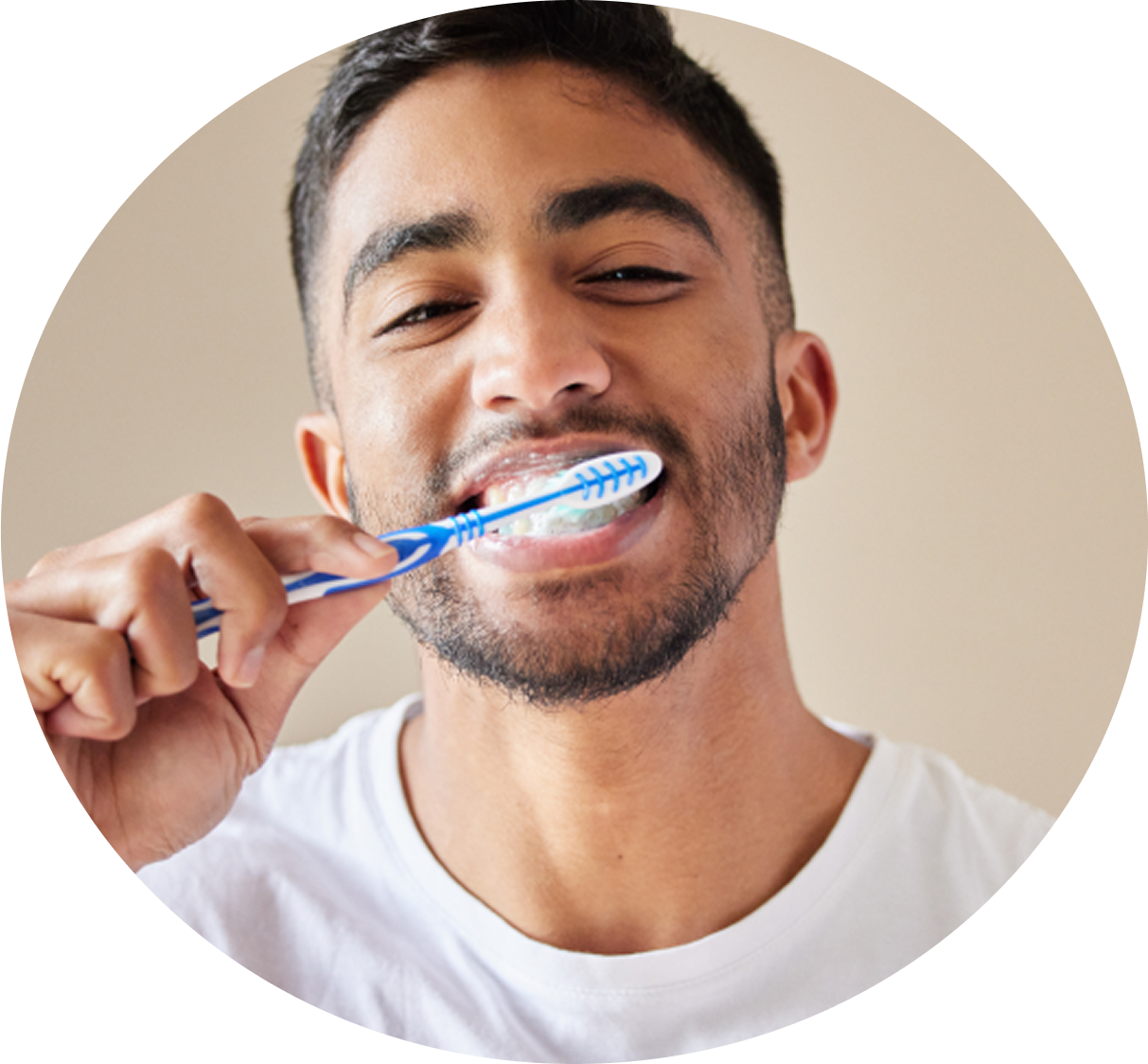Manual & Electric Toothbrushes | Rexall