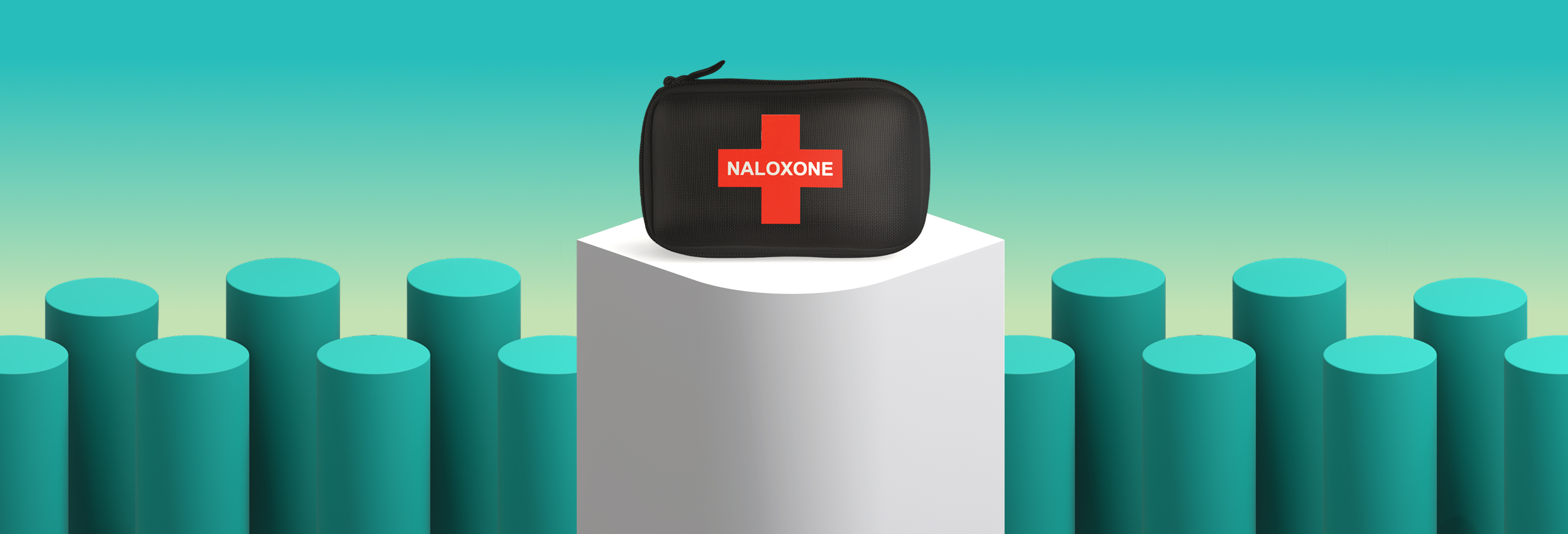 Naloxone Kits - Be Prepared, Save a Life | Rexall